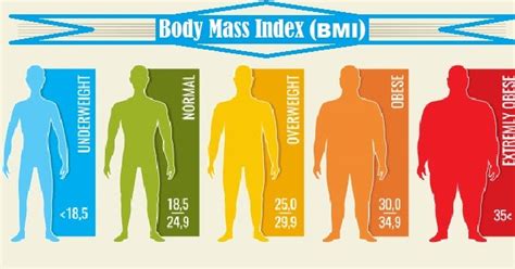 How To Calculate Your Bmi Equation Tessshebaylo