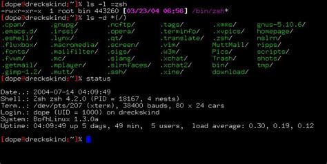 Introduction To Zsh Linuxaria