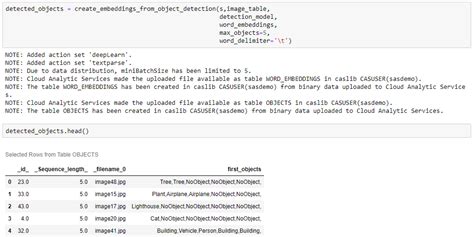 image captioning example · issue 243 · sassoftware python dlpy · github