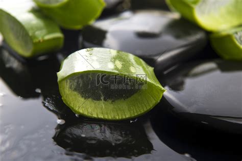 石头上涂油的芦荟叶片高清摄影大图 千库网