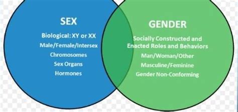 what are the similarities between sex and gender venn diagram and also i need to pass this