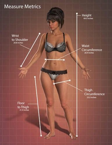 36 24 36 A B C D Or Dd Cup What Are Your Ideal Measurements Free Hot