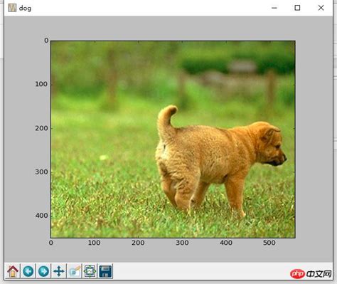 python图片保存需要在图片展示后 用python处理图片之打开 显示 保存图像的方法 csdn博客