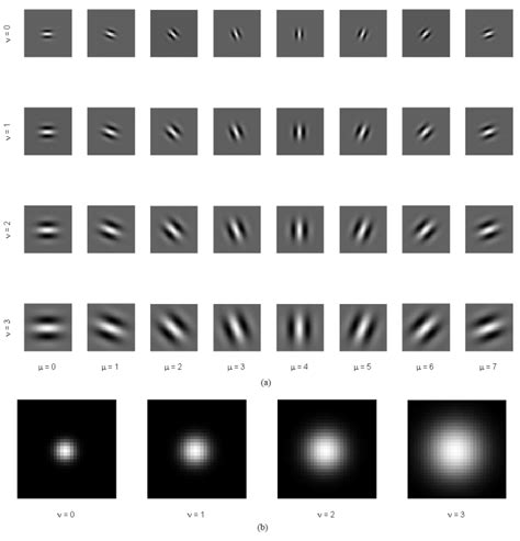 a the real part of the gabor wavelets at different scales and download scientific diagram