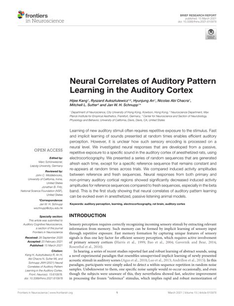 pdf neural correlates of auditory pattern learning in the auditory cortex