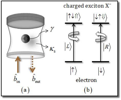 encoding scheme using quantum dots for single logical qubit information onto four photon