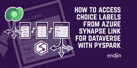 How To Access Choice Labels From Azure Synapse Link For Dataverse With