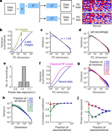 high dimensional geometry of population responses in visual cortex nature