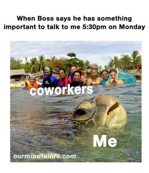 32 Funny Monday Memes To Start Your Week With A Giggle
