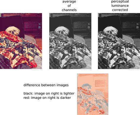 How To Convert An RGB Image To Grayscale KDnuggets