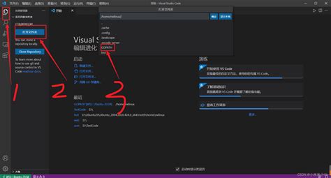 ubuntu历险记 vscode golang配置图文详解，解决vscode缺插件报红问题 （二） wsl vscode go插件 csdn博客