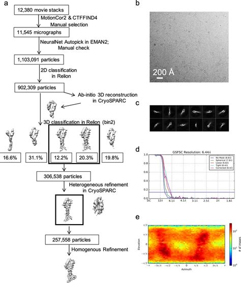 Single Particle Cryo EM Analysis Of The FSE ATP TTR 3 A Workflow Of