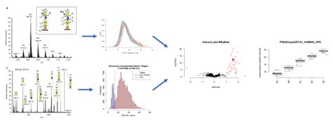 Examples And Workflows For Differential Proteomics Data Analysis With