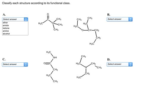 Solved Classify Each Structure According To Its Functiona Chegg