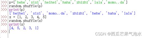 python中random函数用法整理 python random csdn博客