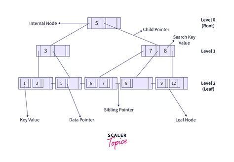 Glossary Of Dbms Scaler Topics