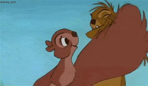 Sword In The Stone Squirrel  Find And Share On Giphy