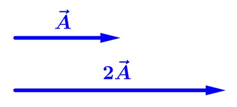 multiplying a vector by a scalar with examples neurochispas