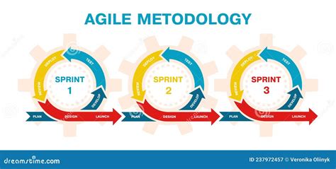 Agile Project Management Development Methodology Infographic Agile