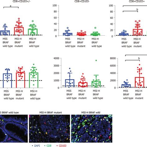 Tissue Resident Memory T Cells Are Significantly Increased In Download Scientific Diagram
