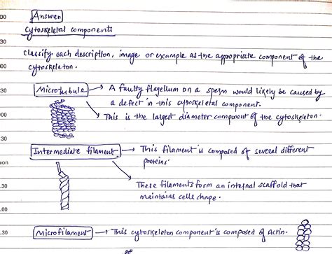 Solved Classify Each Description Image Or Example As The