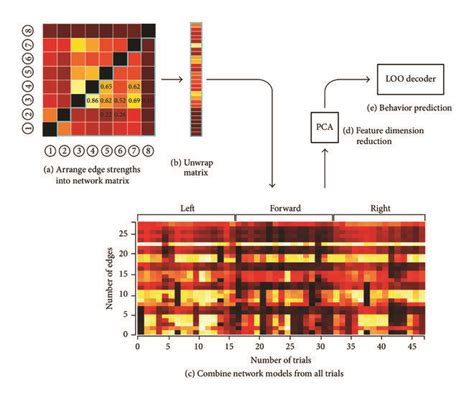 flowchart illustrating neural functional network decoding first the download scientific