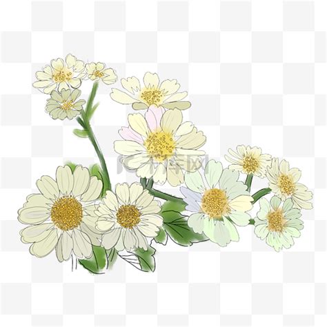 菊花平面设计图片 菊花平面设计图片素材免费下载 千库网