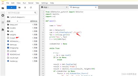 在autodl中复现yolov5 deepsort（自学习） deepsort yolov5项目复现 csdn博客