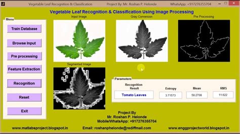 vegetable leaf recognition using image processing matlab project code youtube