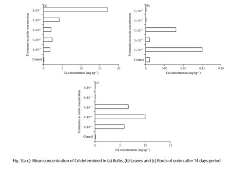 How To Write The Results Findings Section In Research Wordvice