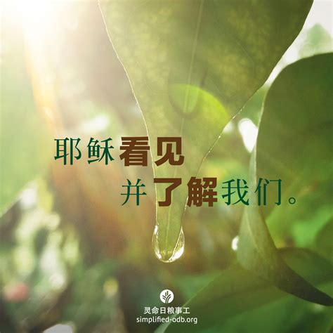 2023 08 25今日图片分享 灵命日粮简体中文网站