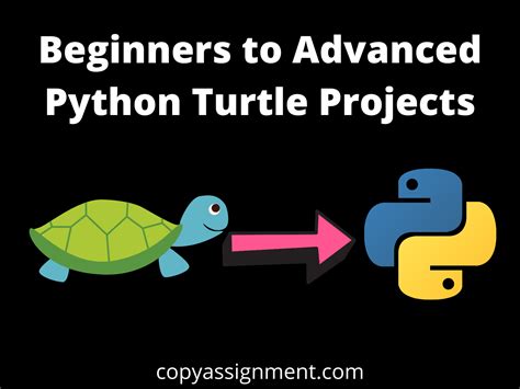 Beginners To Advanced Python Turtle Projects CopyAssignment