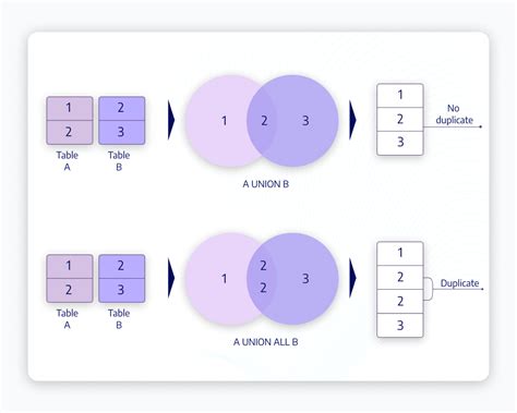 Union And Union All In Sql Server With Examples Encycloall
