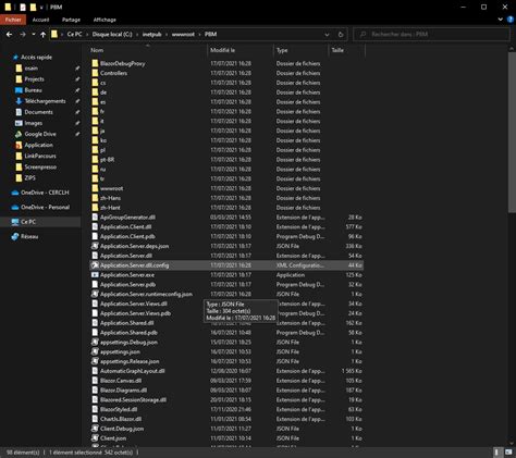 blazor wasm hosted project on iis errors when dll are loaded hot sex picture