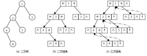 c语言实现数据结构 树 c语言树创建代码 csdn博客