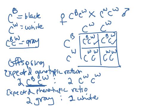 Incomplete Dominance Vs Codominance Punnett Square