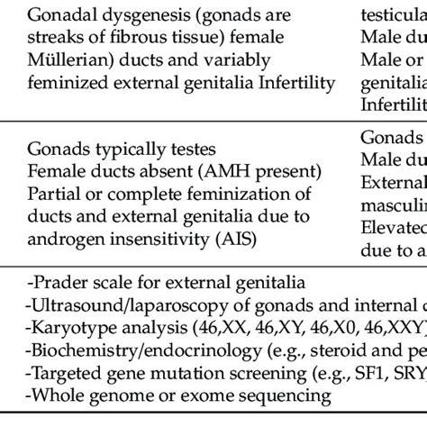 broad categories of disorders differences in sex development dsd download scientific diagram