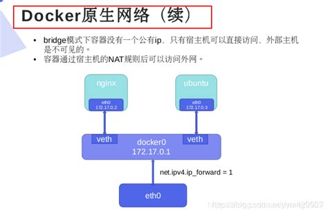 docker的三种原生网络 bridge host none docker提供了三种内置本地网络 csdn博客