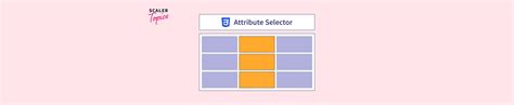 What Are Css Attribute Selectors Scaler Topics