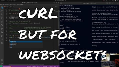 How To CURL But For Websockets Using Websocat To Perform Ws Requests