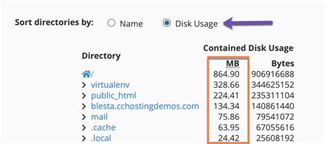 How To Check Your Account S Disk Usage In CPanel
