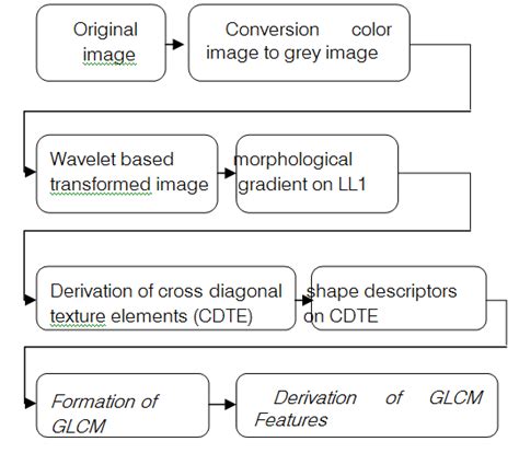 wavelet based shape descriptors using morphology for texture classification