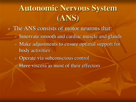 PPT Autonomic Nervous System ANS PowerPoint Presentation Free