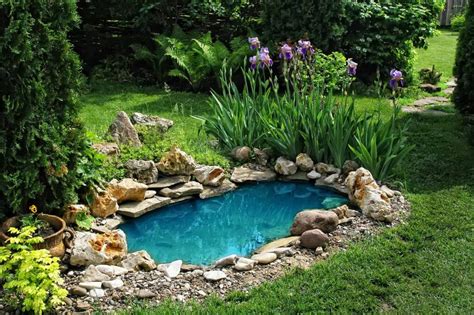How To Seal A Pond Naturally 5 Effective Ways Explained