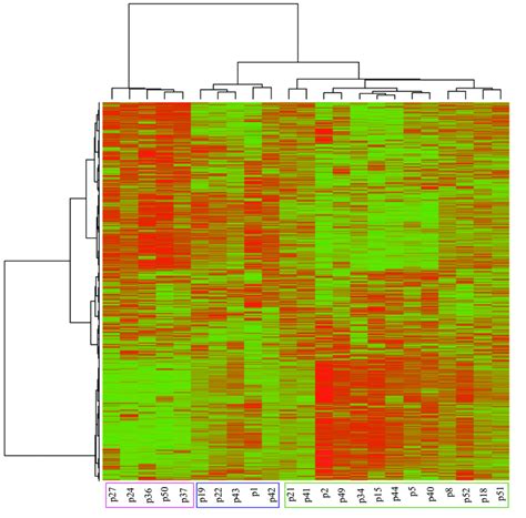 Hierarchical Clustering Of Gene Expression Data With Rows Corresponding