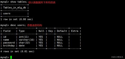 mysql —— 表操作 使用mysql语句进行操作表格 csdn博客