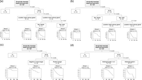 prognostic grouping of all patients based on recursive partitioning download scientific diagram