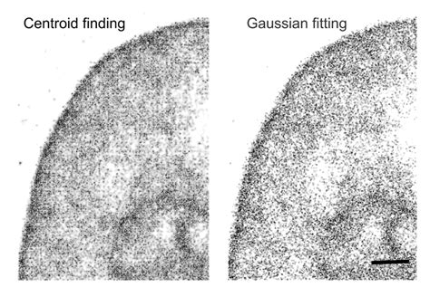 14 various reconstruction algorithms for smlm fitting gaussian and download scientific