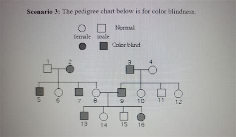 solved need help labeling each with sex linkage and