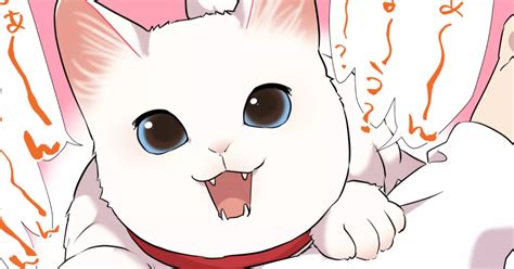 白猫and青目の猫について知っておいてほしいことの話 Hisakawa Haru Portfolio